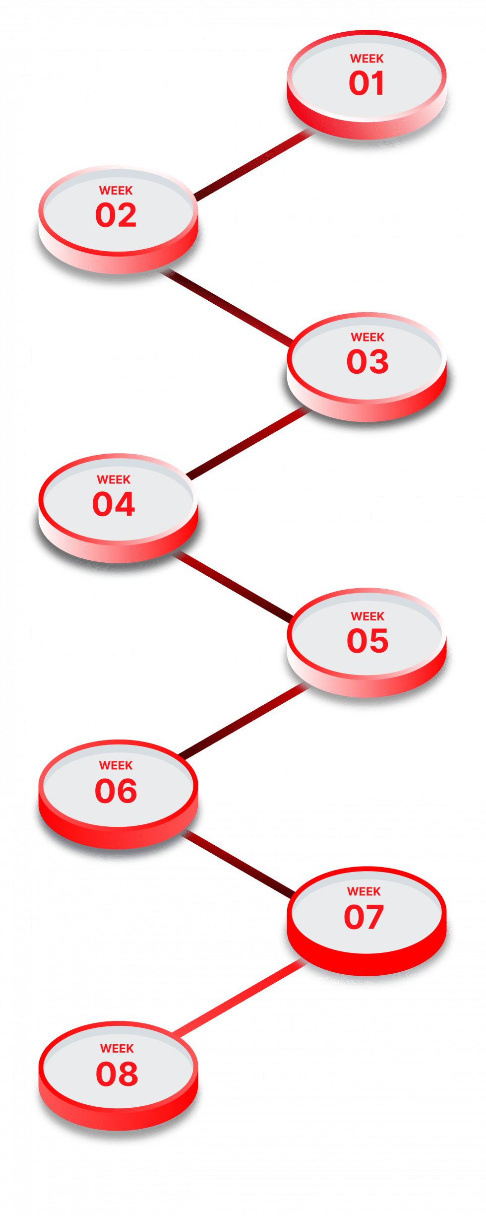 World Class Sales University